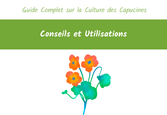 Guide Complet sur la Culture des Capucines : Conseils et Utilisations ...
