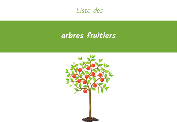 Liste complète des arbres fruitiers : De A à Z - Royaume des Jardins